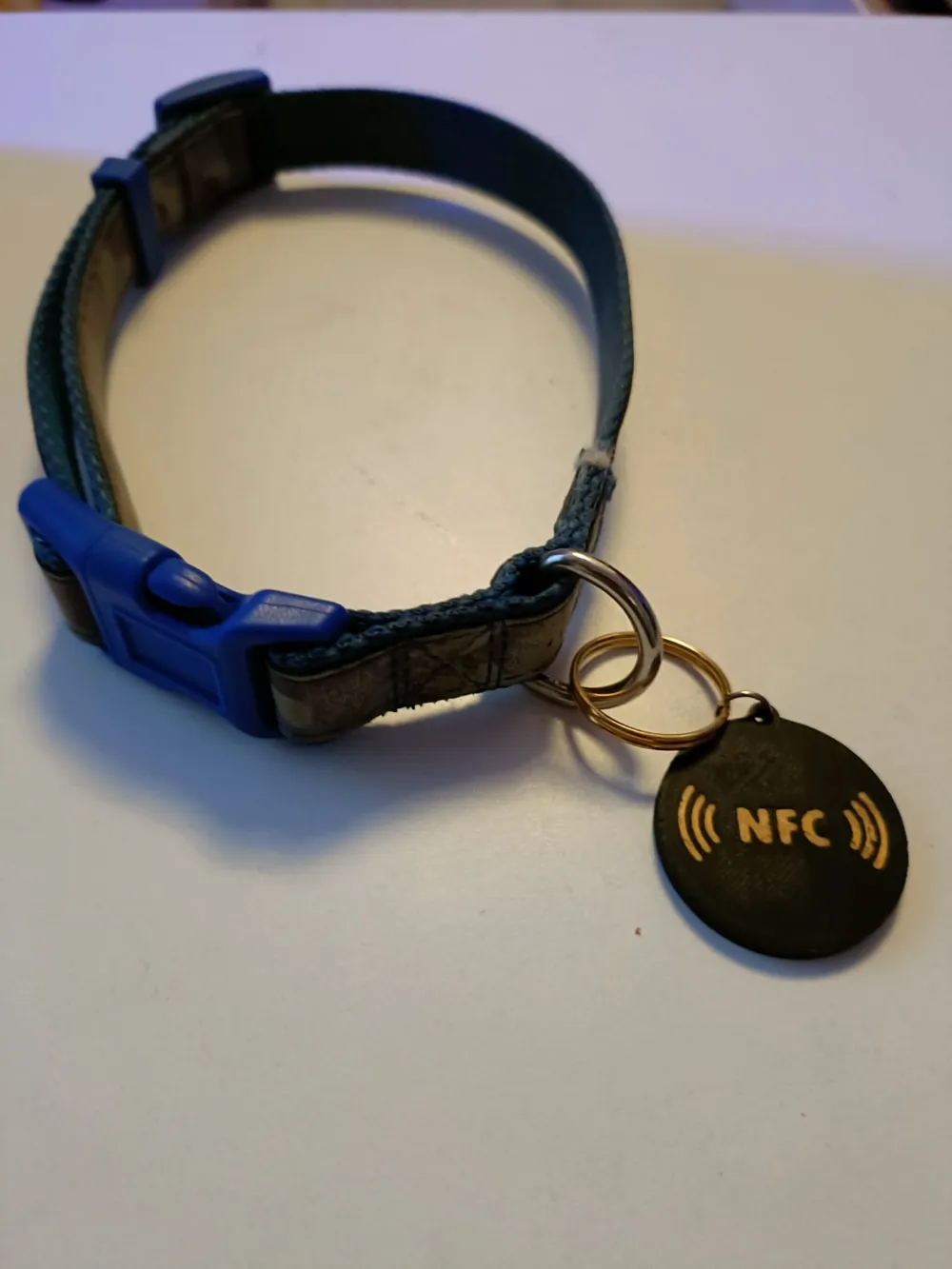 Dog Medallion - dog tag - JOEY - NFC Tag by FrankJ.Lab - MakerWorld