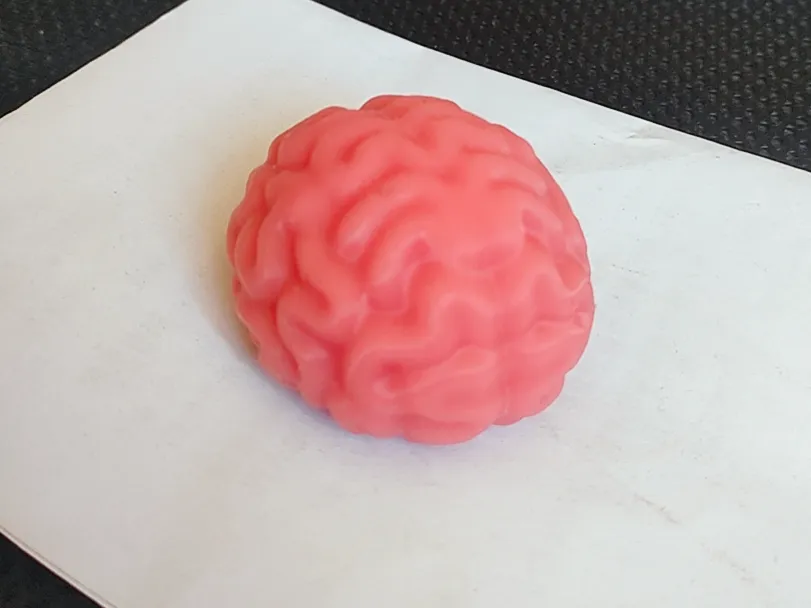 Brain by 无聊怪兽 - MakerWorld