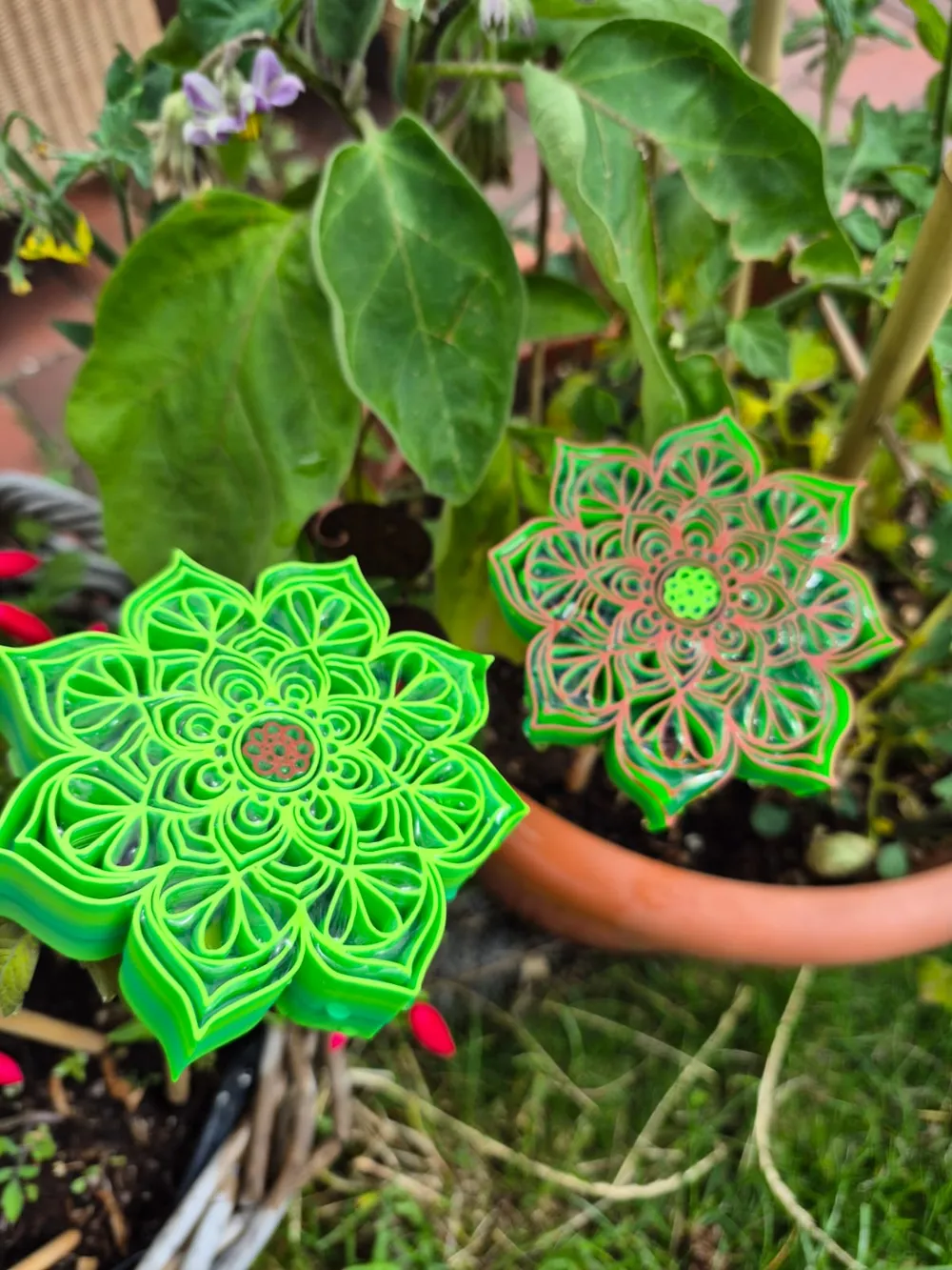 Multicolored Insect Watering Flower for Garden & Balcony - Free 3D ...