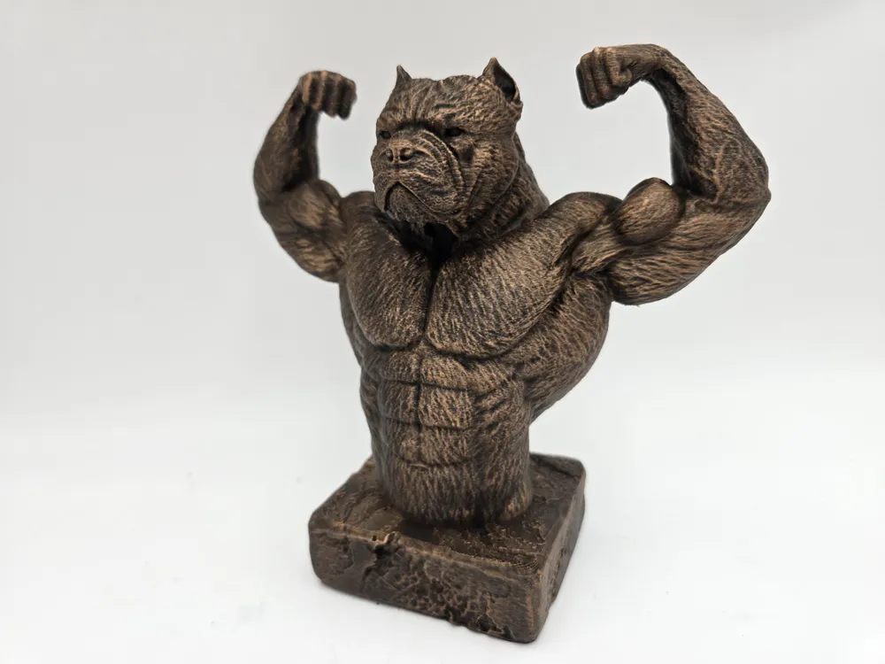 AMERICAN BULLY BODYBUILDER BUST - Free 3D Print Model - MakerWorld