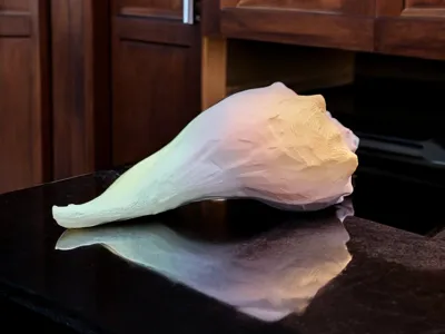 conch 3d print model download - MakerWorld
