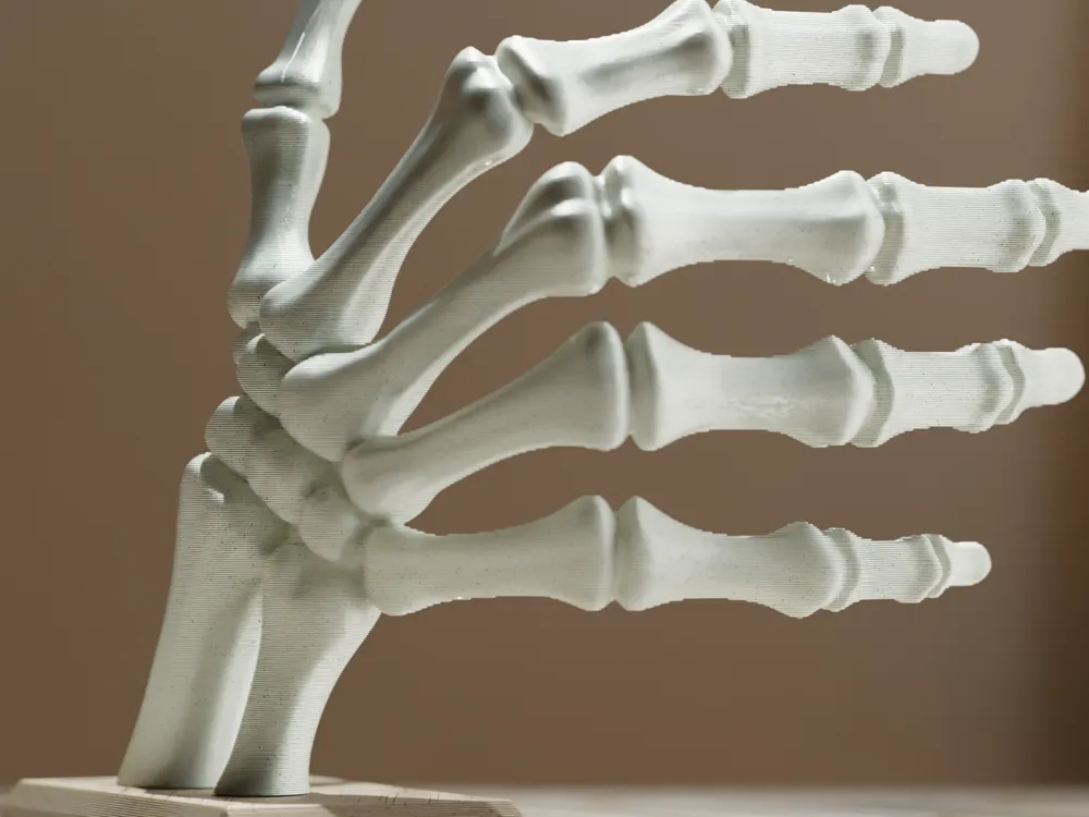 Skeleton Hand Bookstop by Collecticraft MakerWorld: Download Free 3D Models