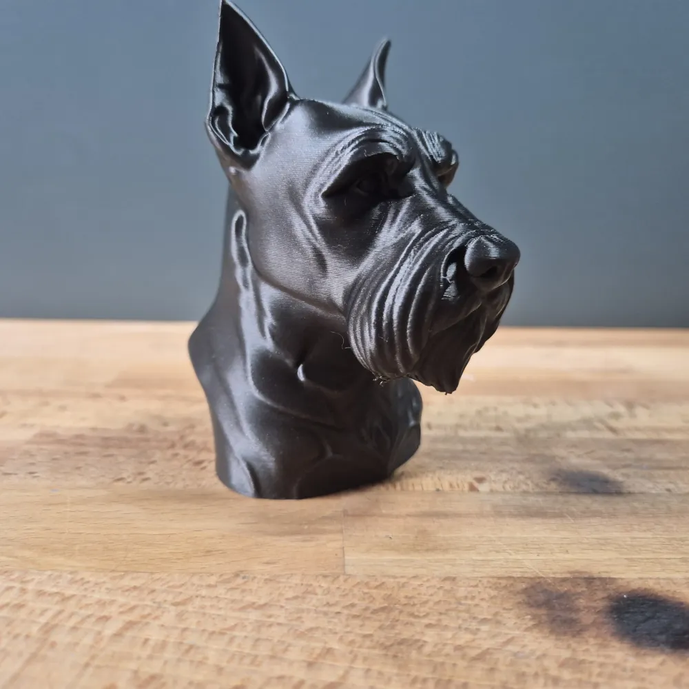 Schnauzer with cropped ears Bust by Mr.Jay MakerWorld: Download Free 3D ...