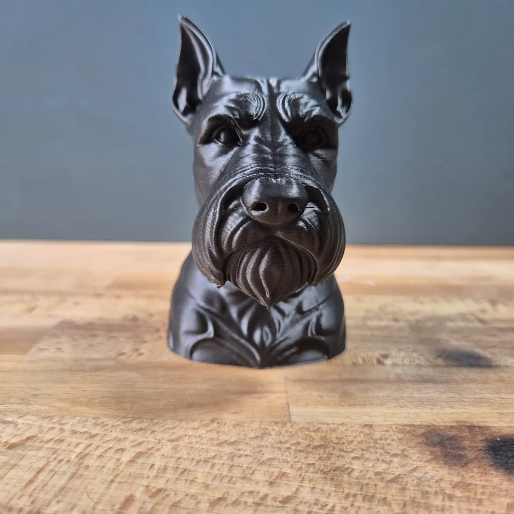 Schnauzer with cropped ears Bust - Free 3D Print Model - MakerWorld