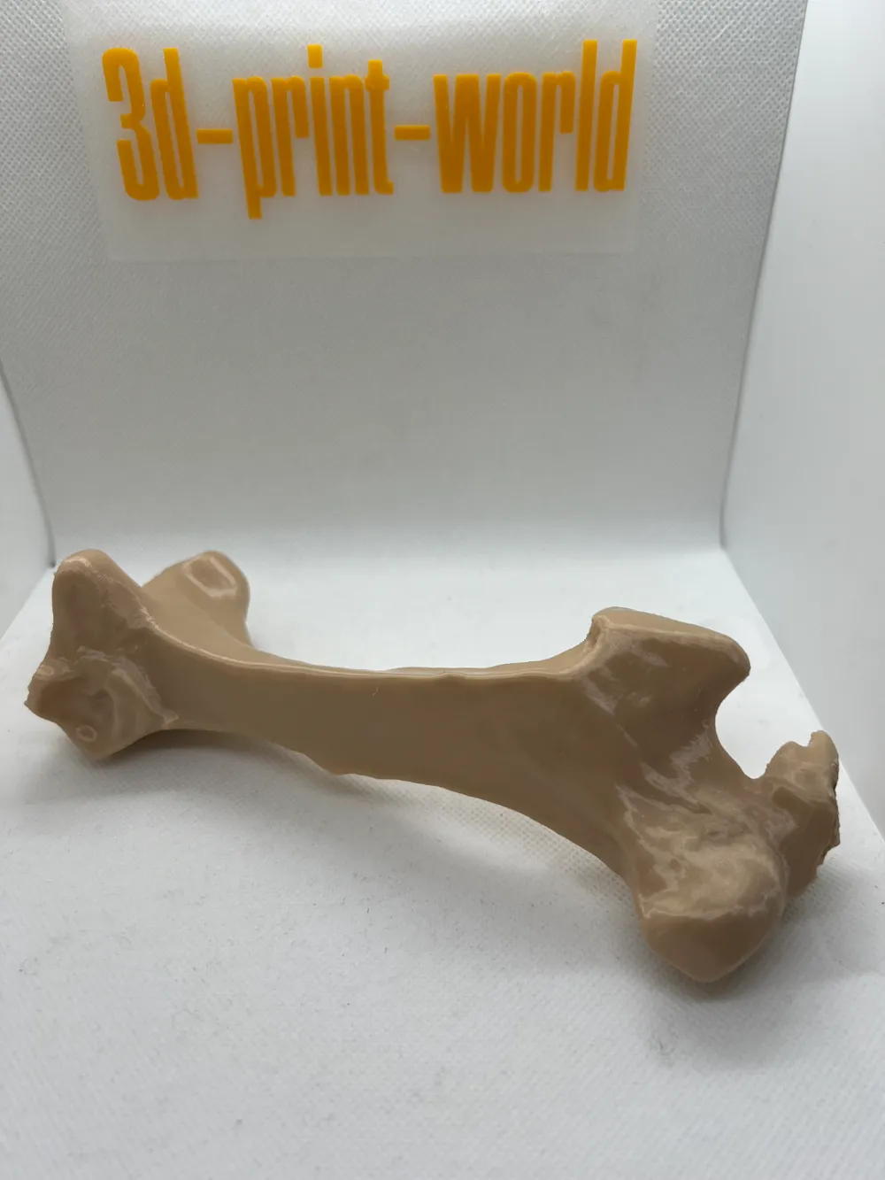Detailed Cattle Femur (Thigh)Bone - Free 3D Print Model - MakerWorld