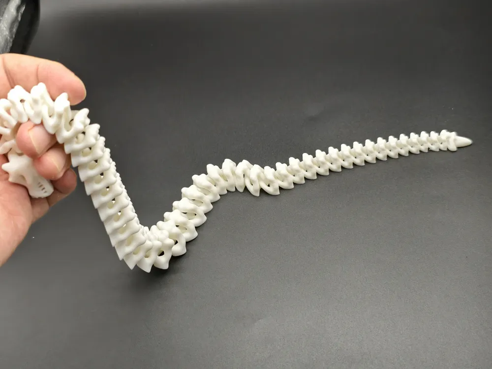 bone snake, no supports, snake, toy - Free 3D Print Model - MakerWorld