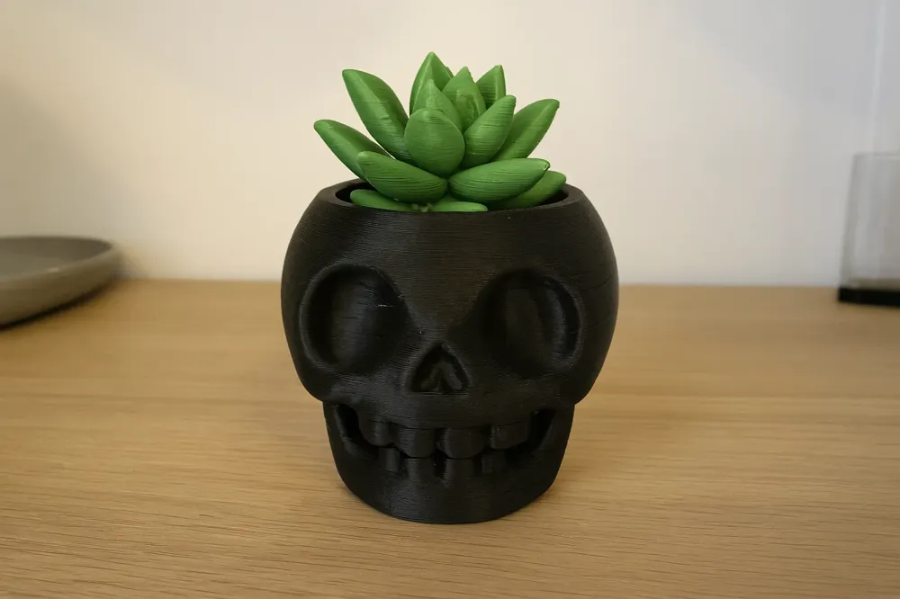 Skull Plant Buddy - Free 3D Print Model - MakerWorld