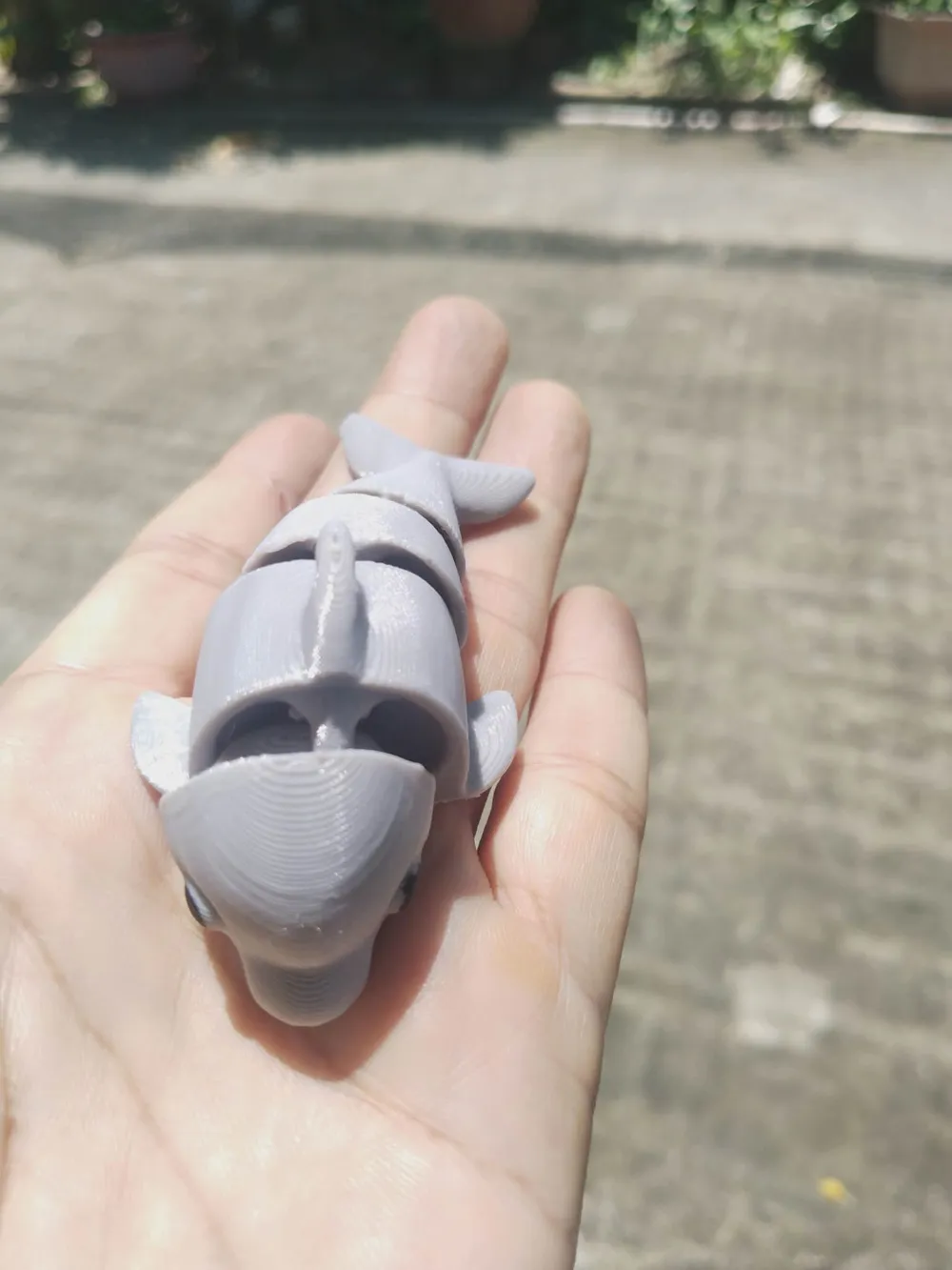 Cute Flexi Dolphin Keychain – Easy Print - Free 3D Print Model - MakerWorld