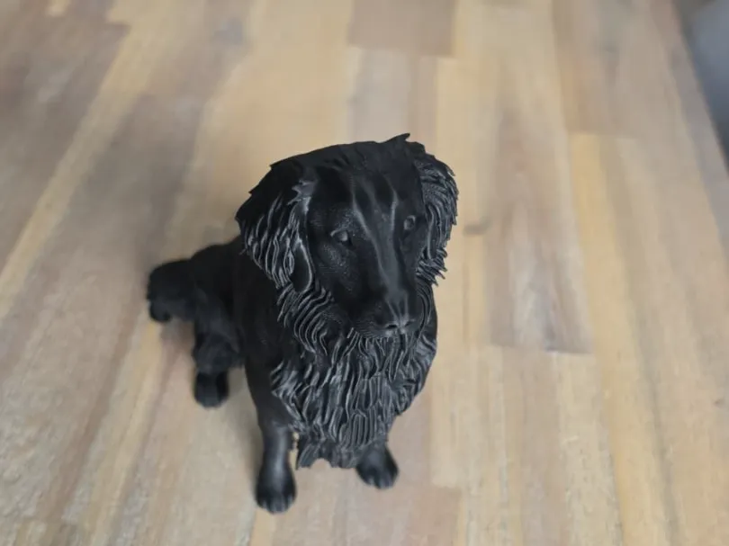 Flat-Coated Retriever - Modèle d'Impression 3D Gratuit - MakerWorld