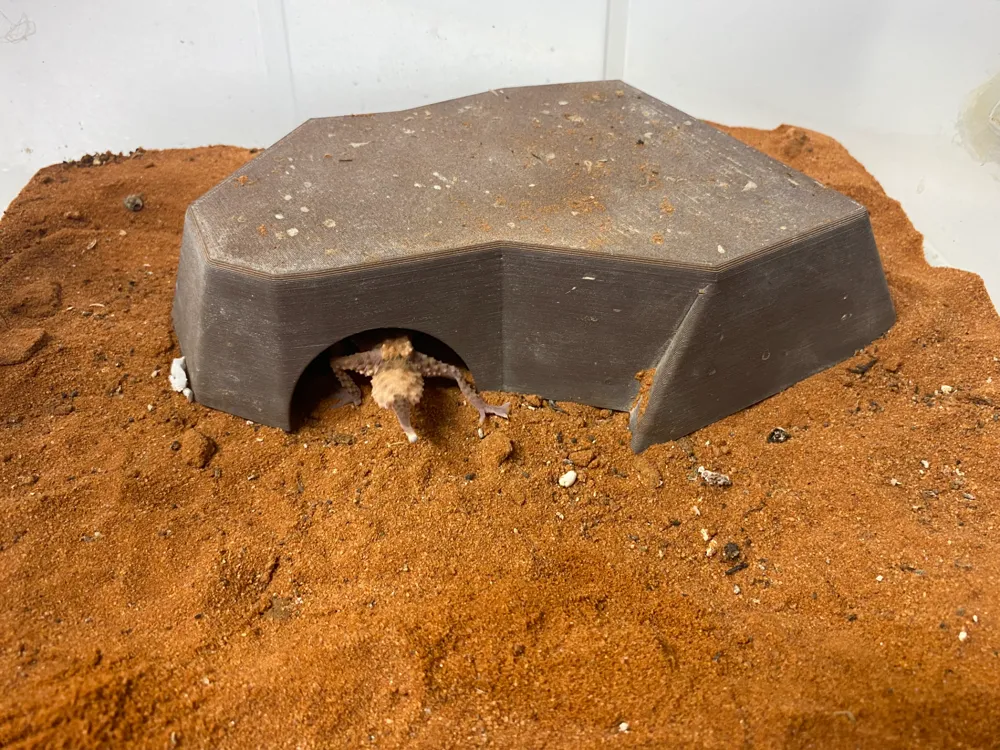 Gecko hide by Miguelle - MakerWorld