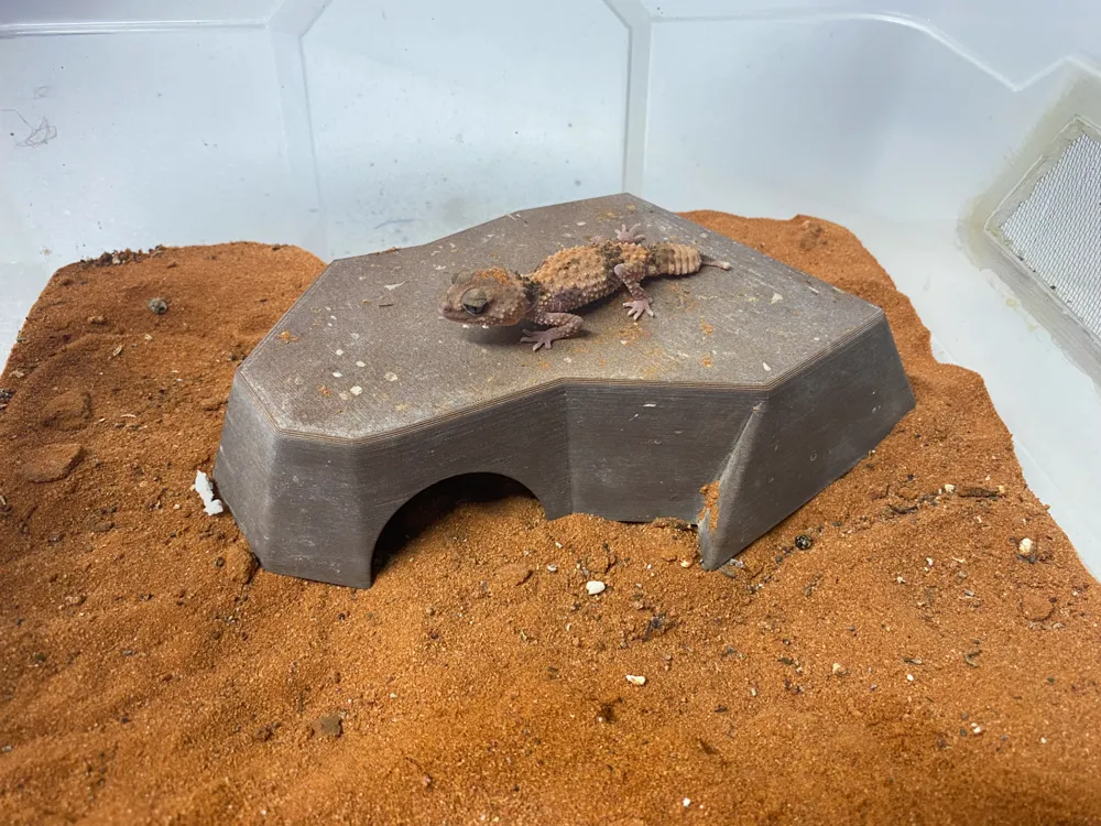 Gecko hide by Miguelle - MakerWorld