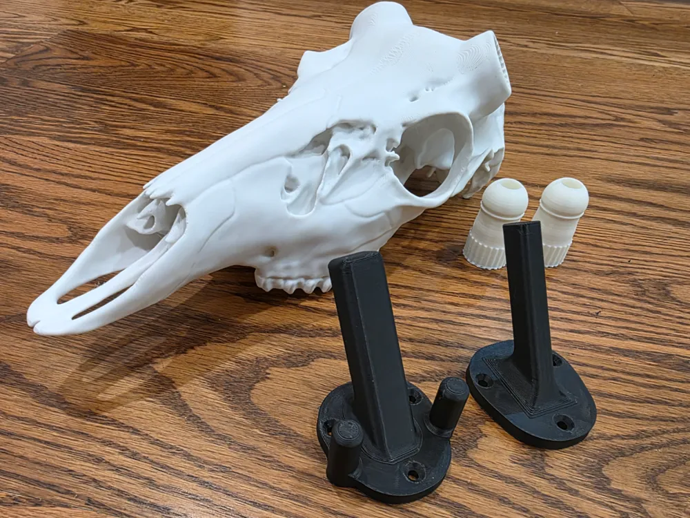 Deer Skull Wall Hang Bracket - 2026 - Free 3D Print Model - MakerWorld