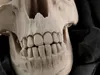 Crânio Humano Realista 1:1 - Modelo gratuito para impressão 3D - MakerWorld