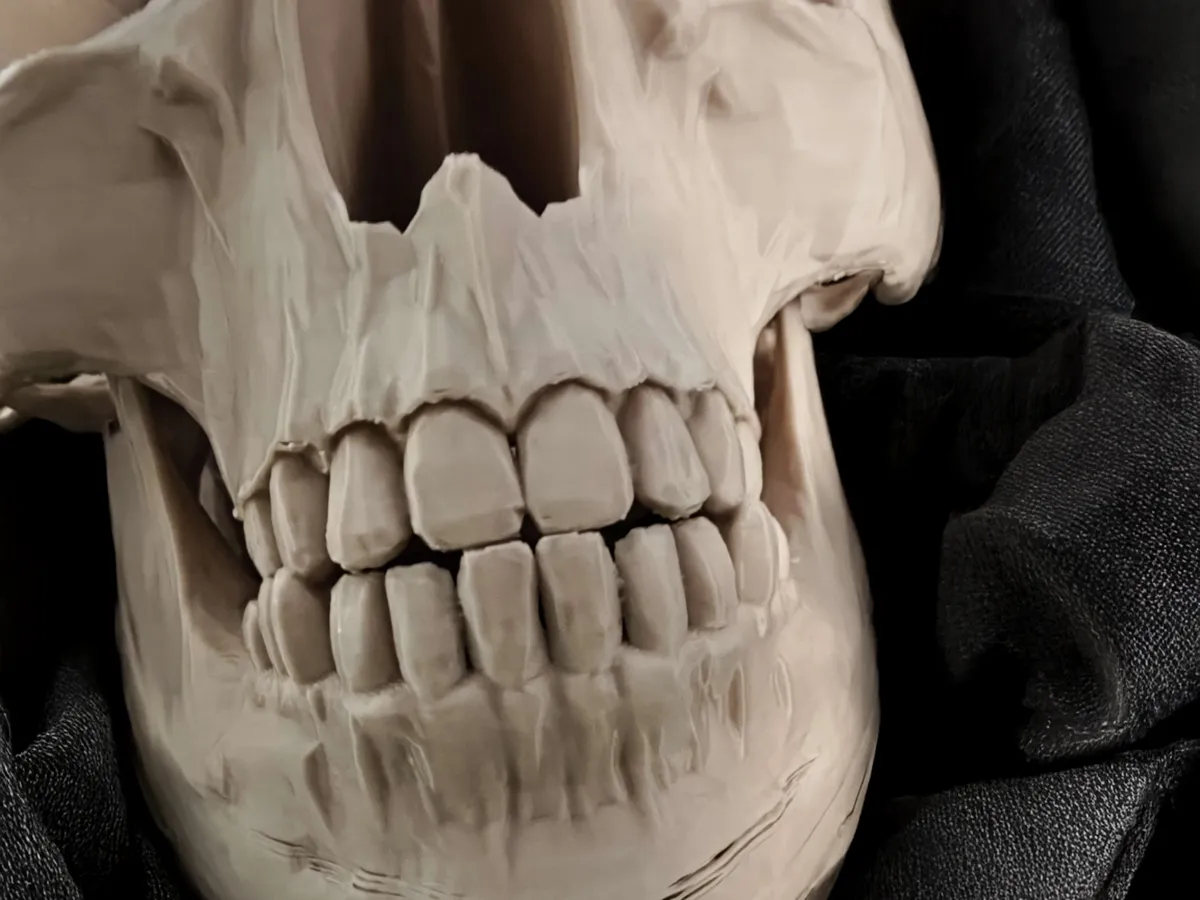 Crânio Humano Realista 1:1 - Modelo gratuito para impressão 3D - MakerWorld