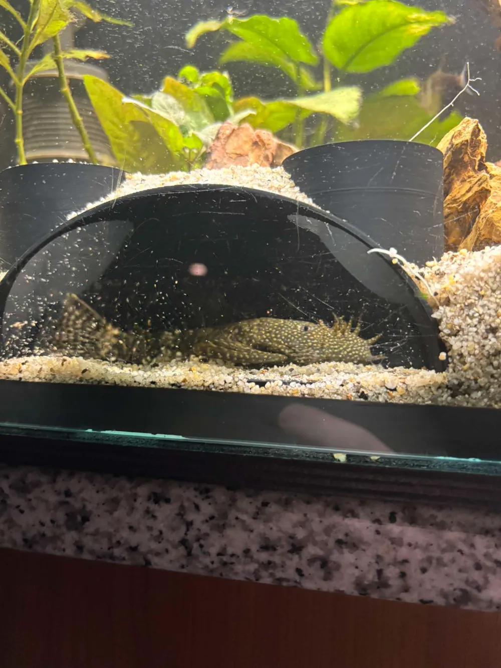 Aquarium observation cave by Rangebear MakerWorld: Download Free 3D Models