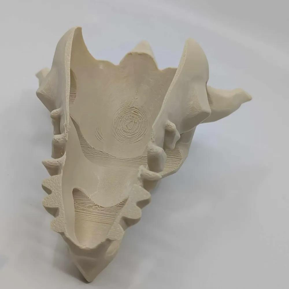 Dragon Skull Hide for Animals/ Arachnid / Reptiles Remixed by ...