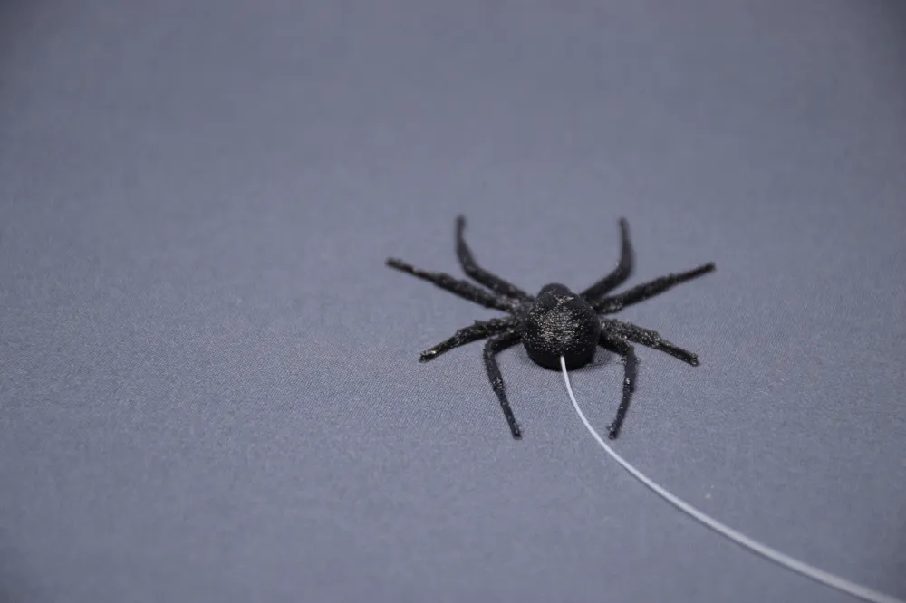 丝线上的蜘蛛 来自 user_3438128979 MakerWorld：免费下载 3D 模型