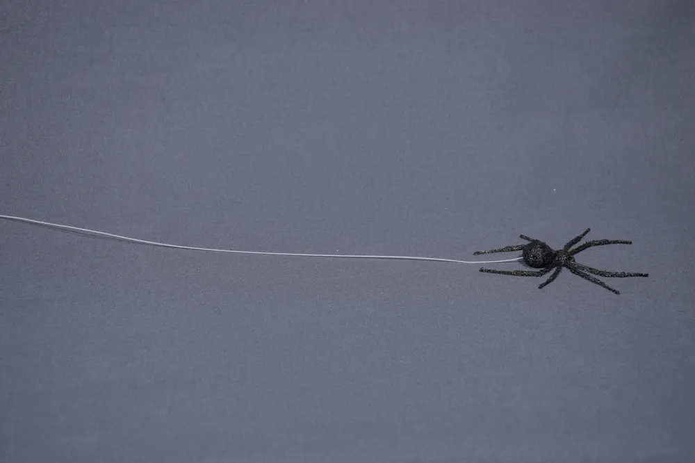 丝线上的蜘蛛 来自 user_3438128979 MakerWorld：免费下载 3D 模型