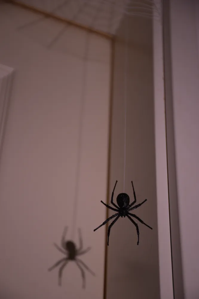 丝线上的蜘蛛 来自 user_3438128979 MakerWorld：免费下载 3D 模型