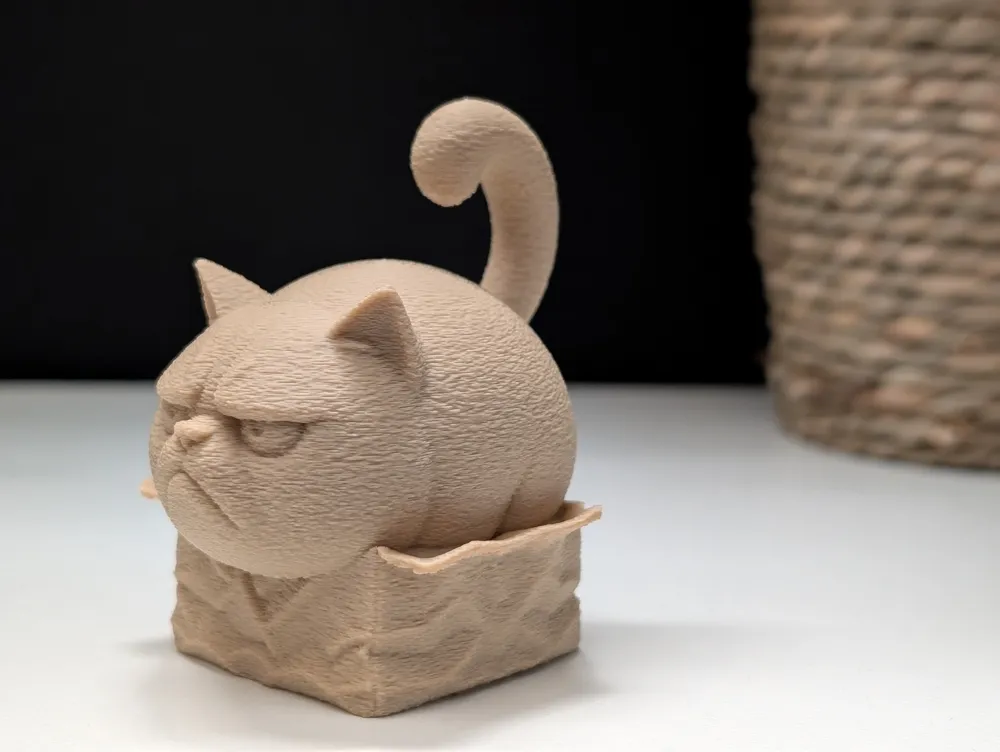 Grumpy Cat "in" a Box - Free 3D Print Model - MakerWorld