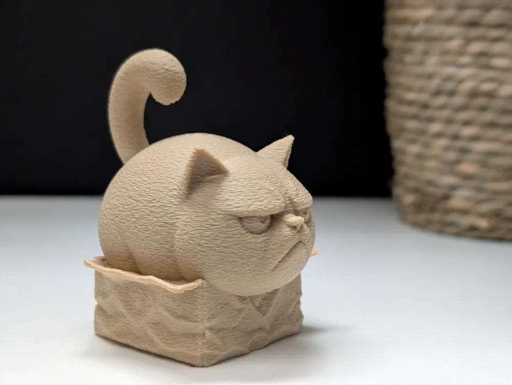 Grumpy Cat "in" a Box - Free 3D Print Model - MakerWorld