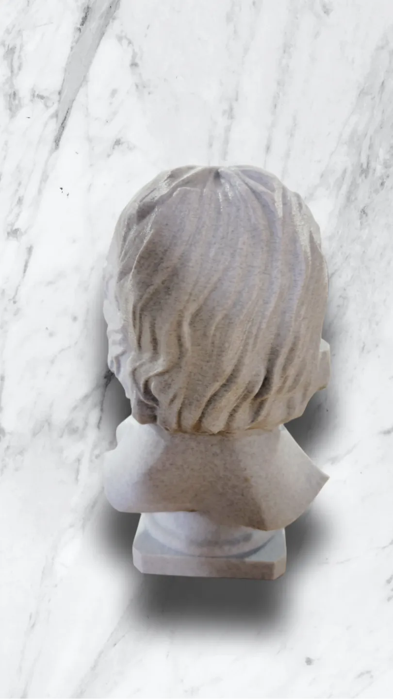 André Rieu Bust by L8MxVideo - MakerWorld