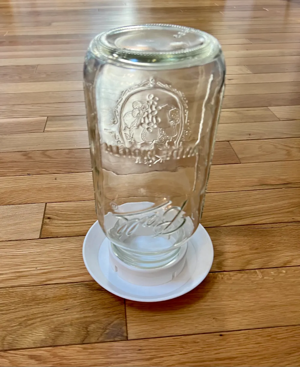 Chick Waterer - Free 3D Print Model - MakerWorld