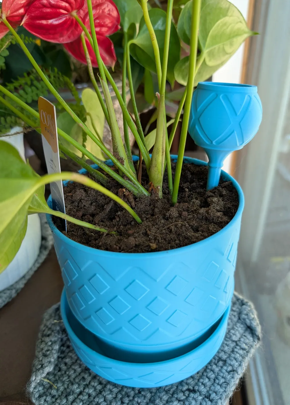 Diamond Lattice Planter - 5 inch - Free 3D Print Model - MakerWorld