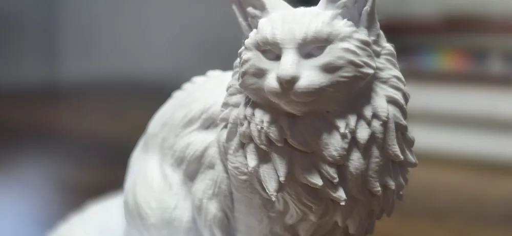 Wunderschöne ausmalbare Maine Coon Katze – Kostenloses 3D-Druckmodell ...