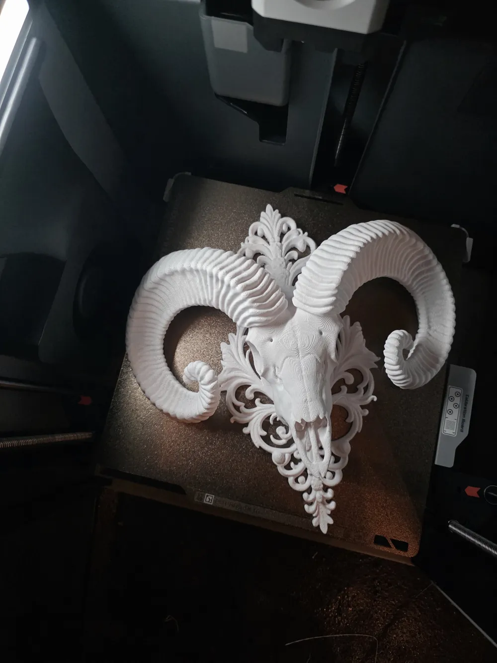 Gothic Elegance RAM Skull Wall Hang - Free 3D Print Model - MakerWorld