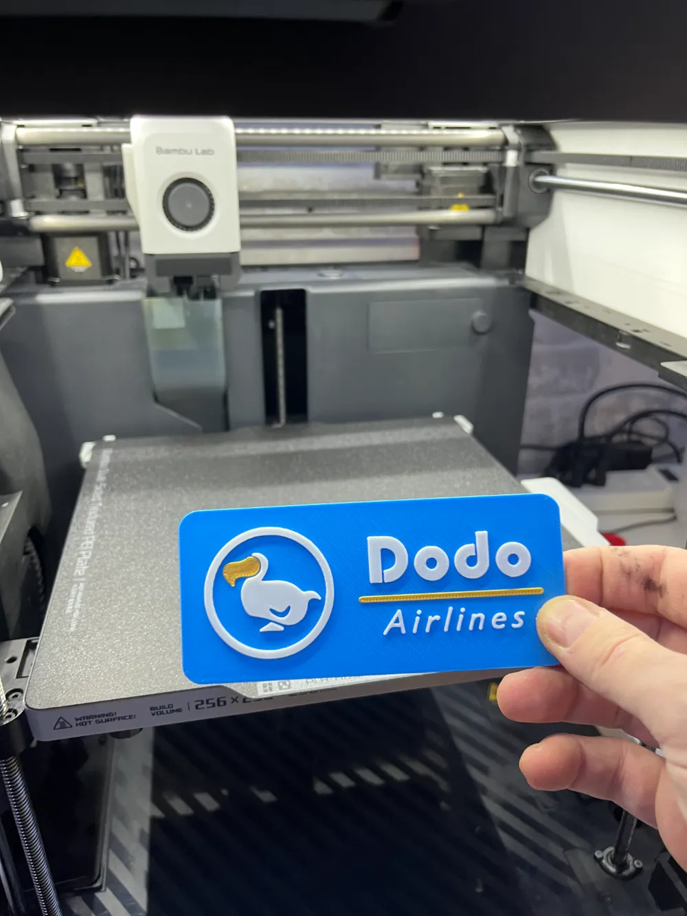 Dodo Airlines colored card Remixed by d.fortin - MakerWorld
