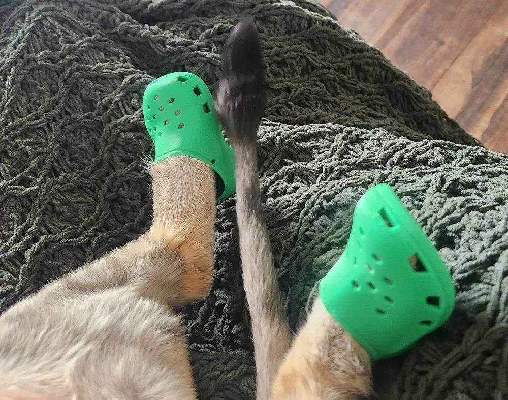 Cat Crocs by Cayouche MakerWorld: Download Free 3D Models