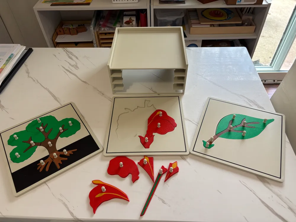Montessori Botany Puzzle Cabinet - Free 3D Print Model - MakerWorld