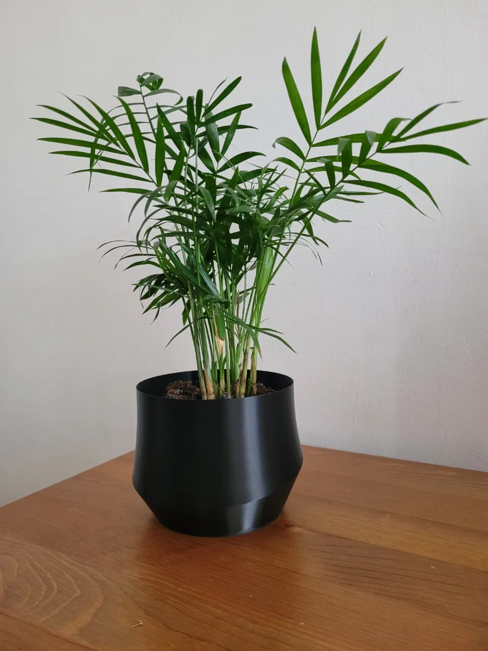 Simple Planters (plus Vase Mode Profile) by sawek - MakerWorld
