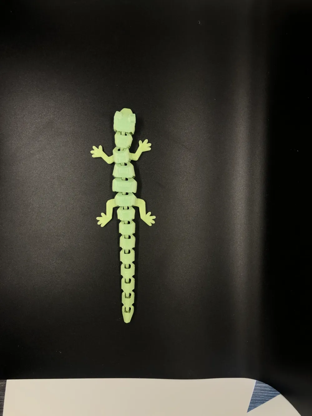 Lizard Flexi/Articulating by r.cheeks - MakerWorld