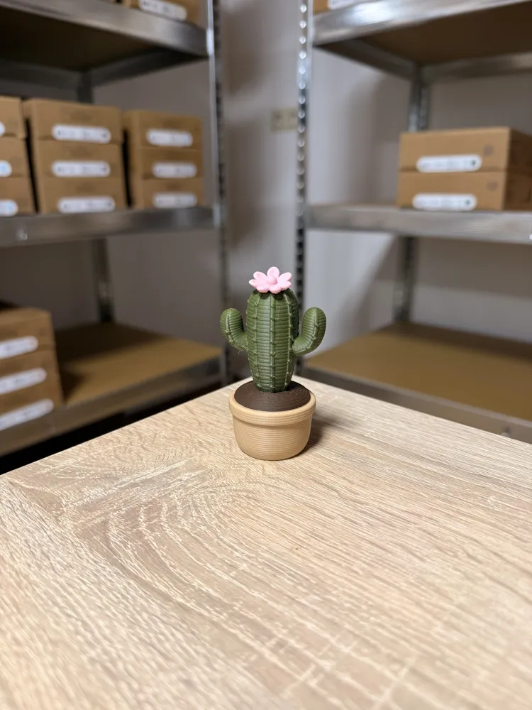 Mini Cactus - Free 3D Print Model - MakerWorld