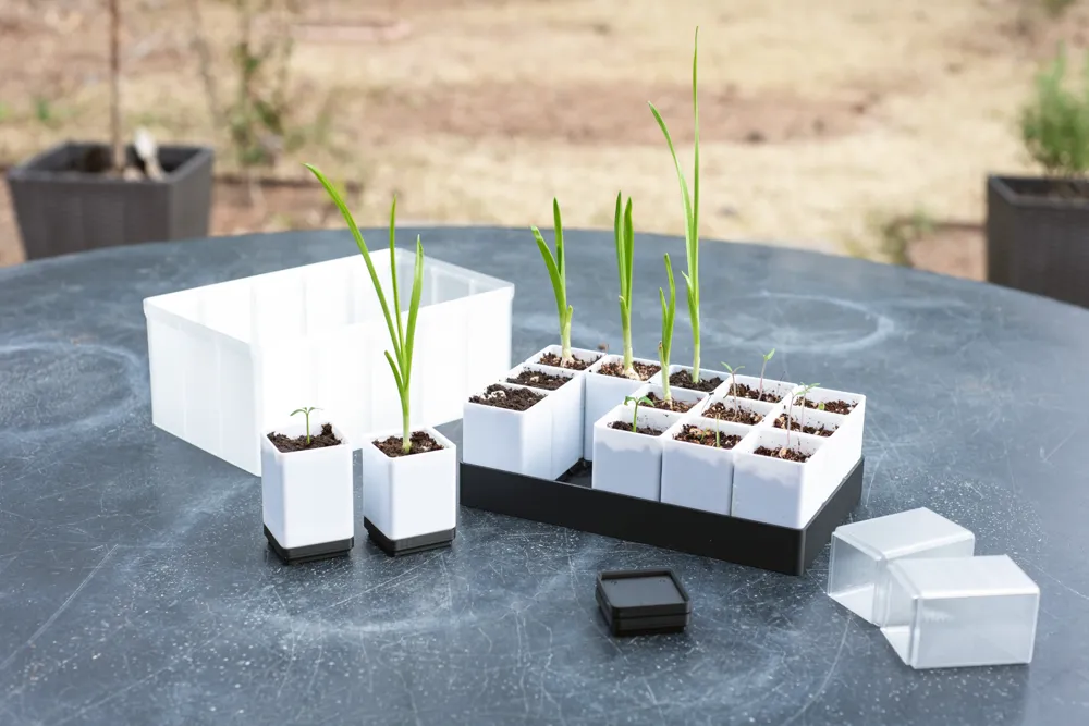 Gridfinity Seed Starting Pots + Trays + Greenhouse by arock MakerWorld ...