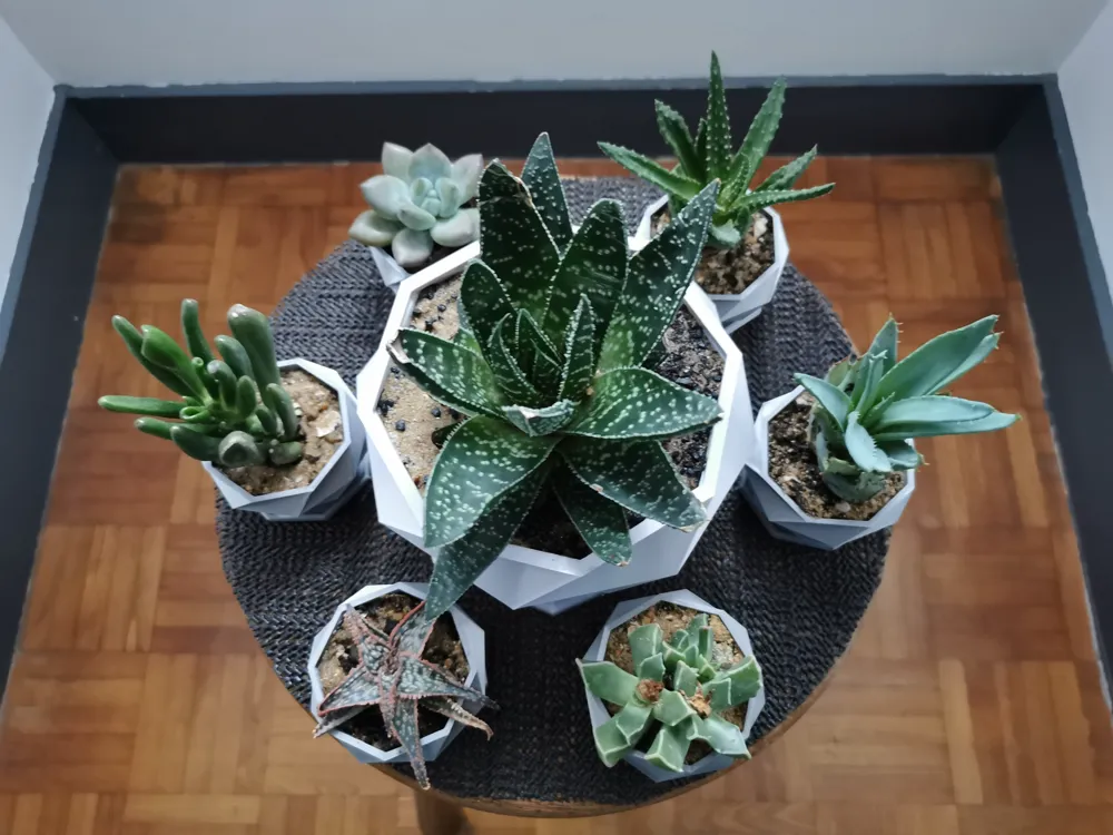 Low Poly Planter by Jackson - MakerWorld