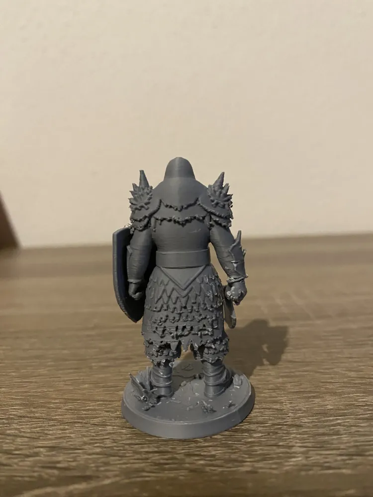 Dungeons&Dragons Ice Guardian - Free 3D Print Model - MakerWorld