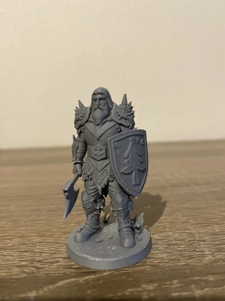Dungeons&Dragons Ice Guardian - Free 3D Print Model - MakerWorld