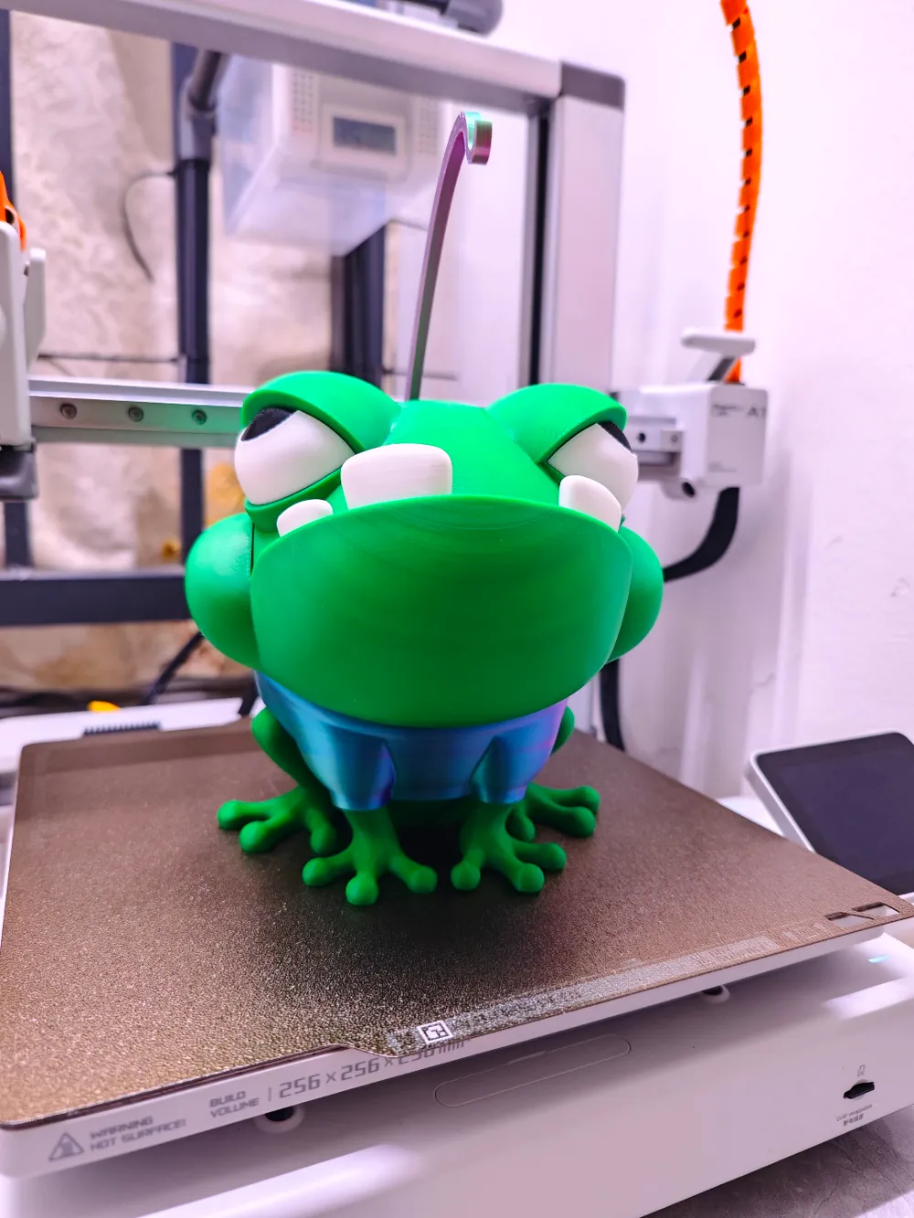 Cute Frog Storage Box Organizer called "Kusari Frog" by KK - MakerWorld