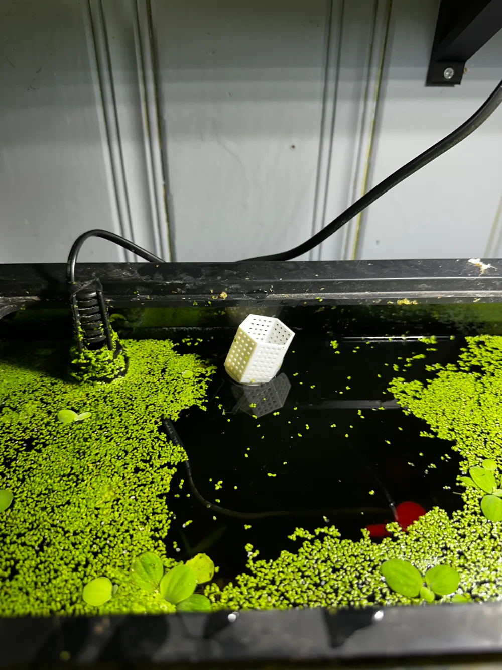 3/4inch Aquarium Bulkhead Strainer - Free 3D Print Model - MakerWorld