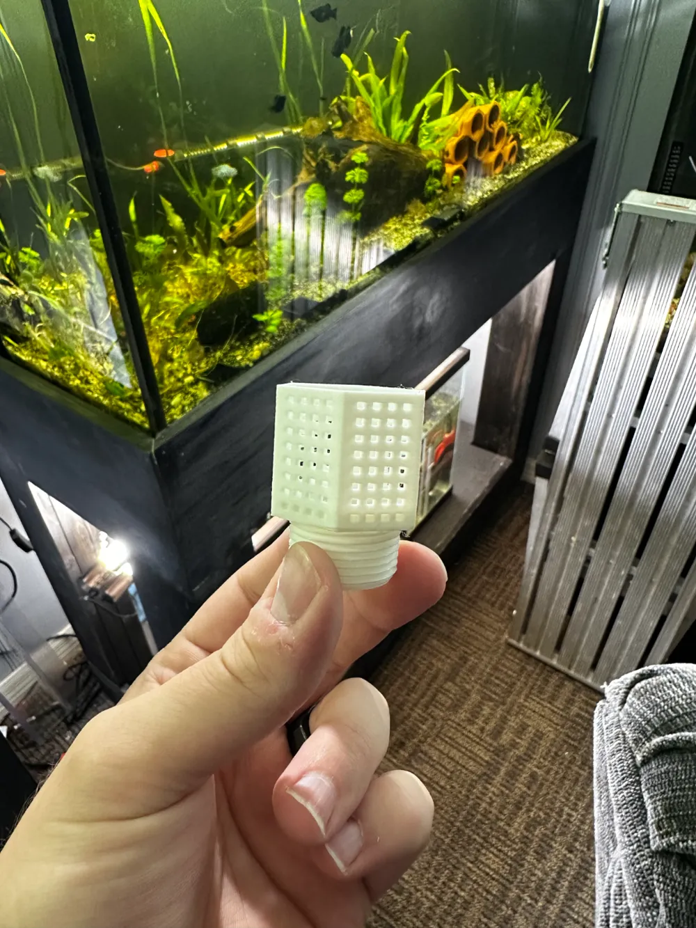 3/4inch Aquarium Bulkhead Strainer - Free 3D Print Model - MakerWorld