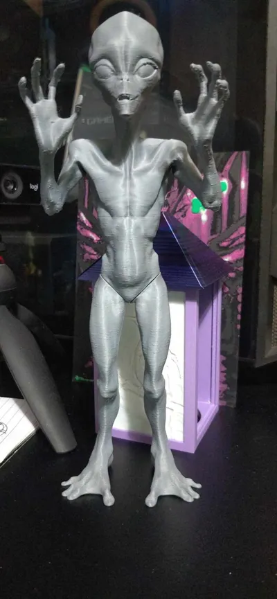 Put 'Em Up Alien XL - 20 Inch by Zurlingo-3D - MakerWorld