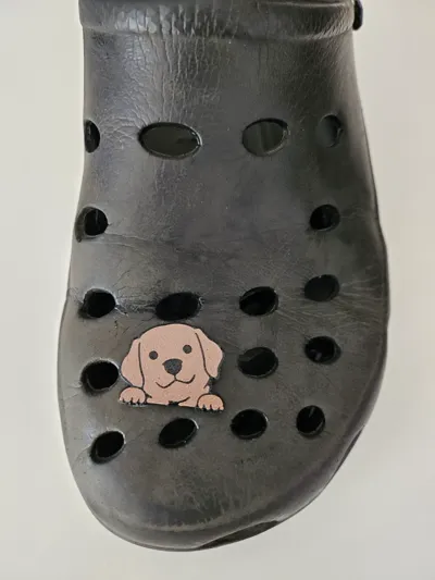Labrador crocs charm by Luke3D MakerWorld: Download Free 3D Models