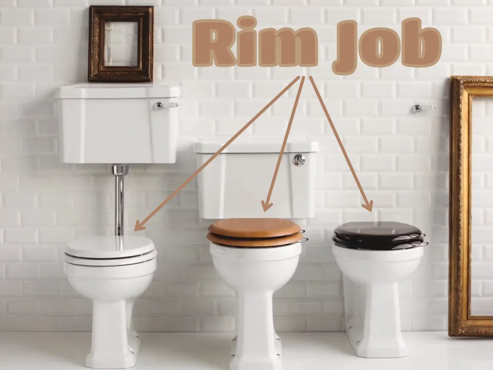 Rim Job (Toilet Rim Build Up Dislodgement Tool) by MalcTheOracle ...
