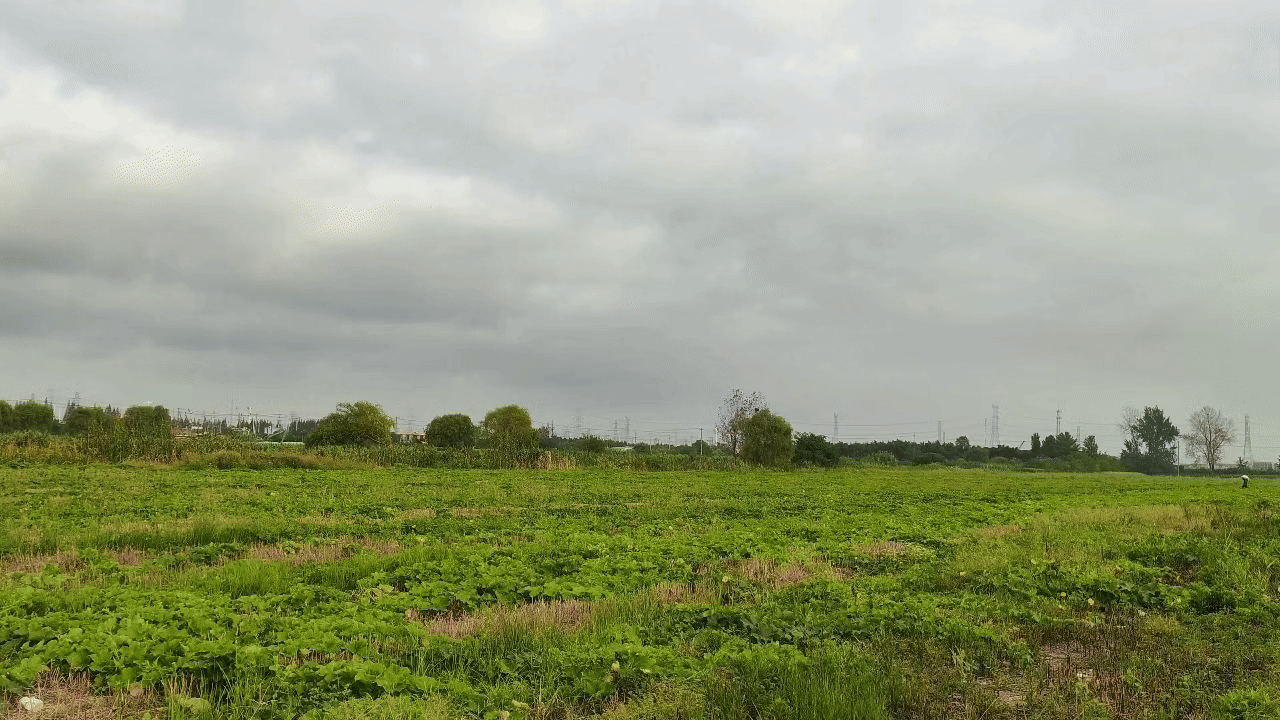 Mirage 2000 RC Model Fixed-Wing 50mm Ducted Fan EDF by 玩的开心 MakerWorld ...