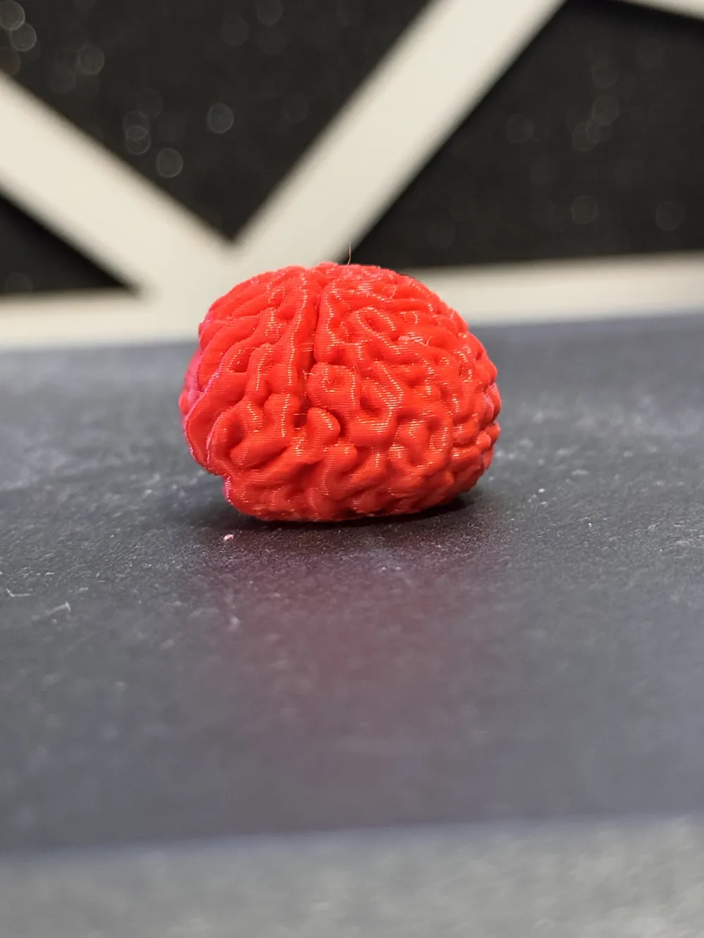 Mini Brain – Fun Anatomy Figure by CraftedDesigns MakerWorld: Download ...