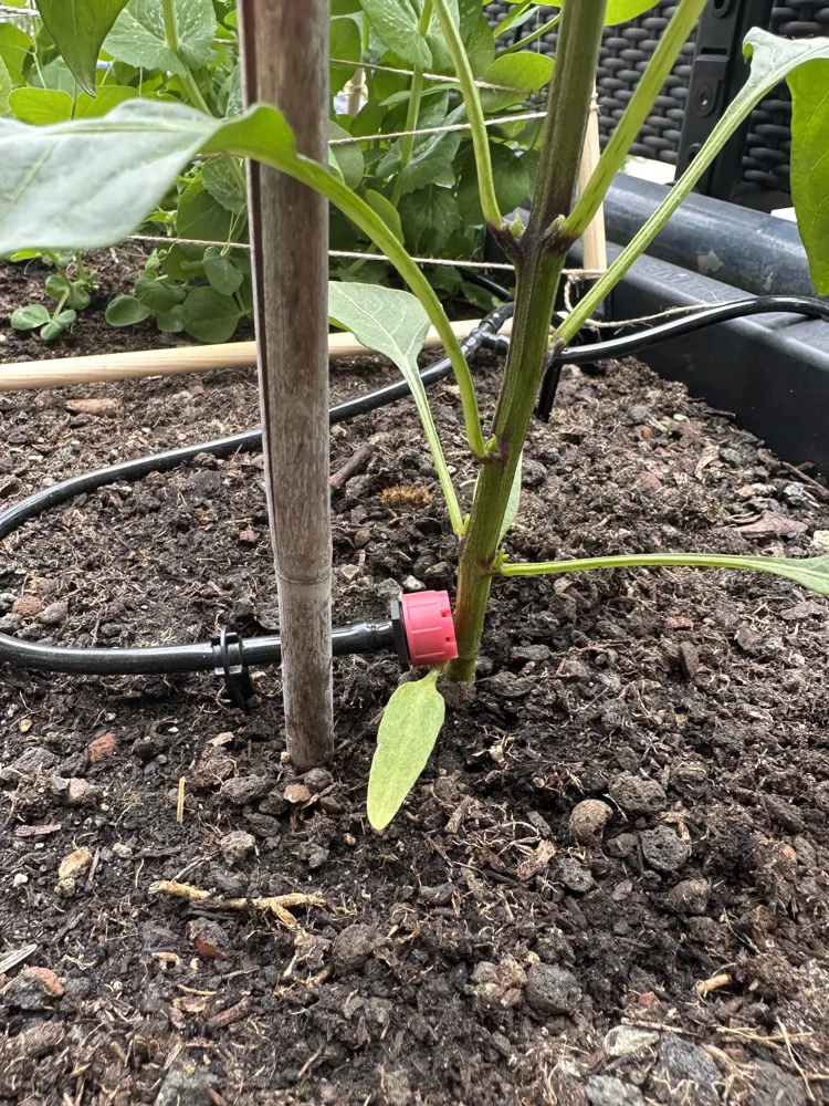 DIY Irrigation System Without a Water Connection by PrintingPepe ...