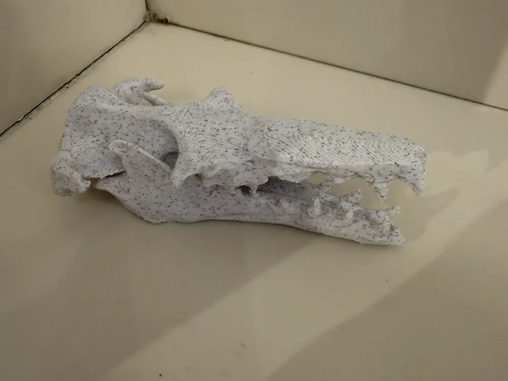 Ancient Whale Skull - Free 3D Print Model - MakerWorld